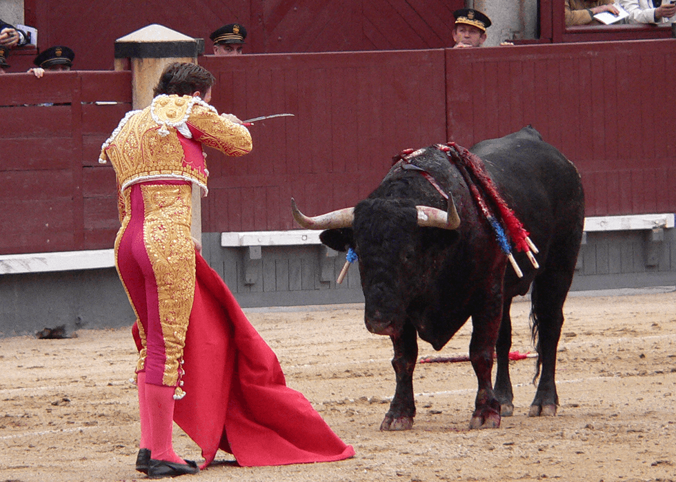 Why Do Matadors Use Red Capes? – Capes.com